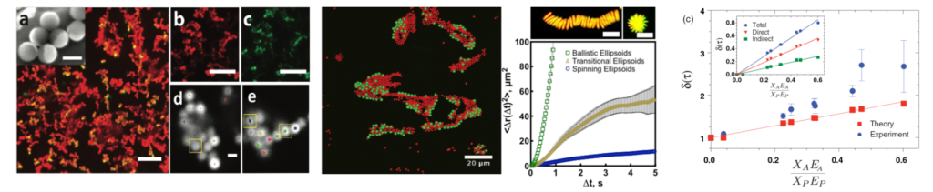 Rheology and Dynamics of Active Matter Systems – The Solomon Group