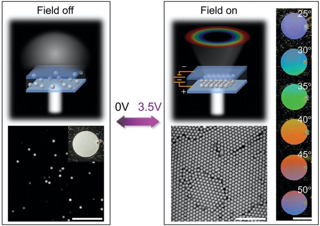 Colloidal Assembly and Structural Color – The Solomon Group